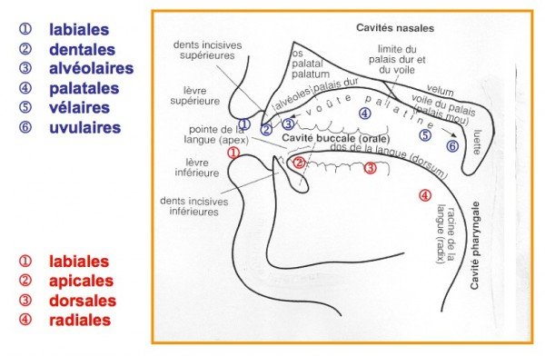 Le classement des sons de parole – Au son du fle – Michel Billières