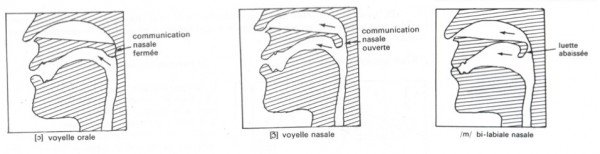 Les voyelles nasales en fle – Au son du fle – Michel Billières