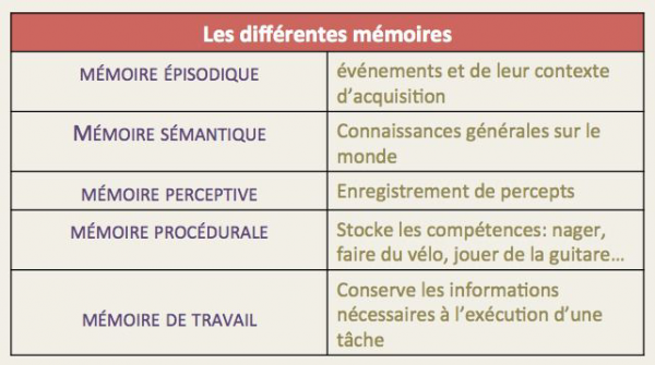 la mémoire: aperçu de son fonctionnement – Au son du fle – Michel Billières